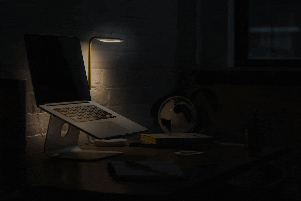 Co-Curator: Shopify Premier Partners
